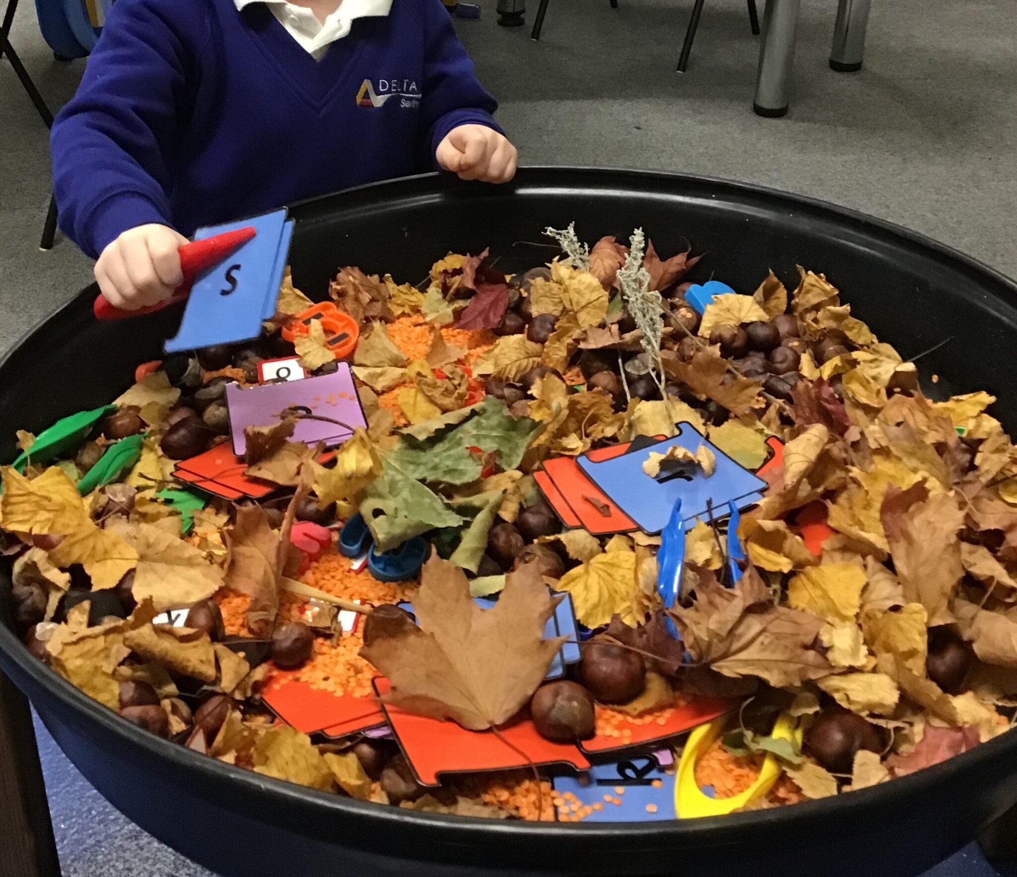 EYFS - Serlby Park Primary